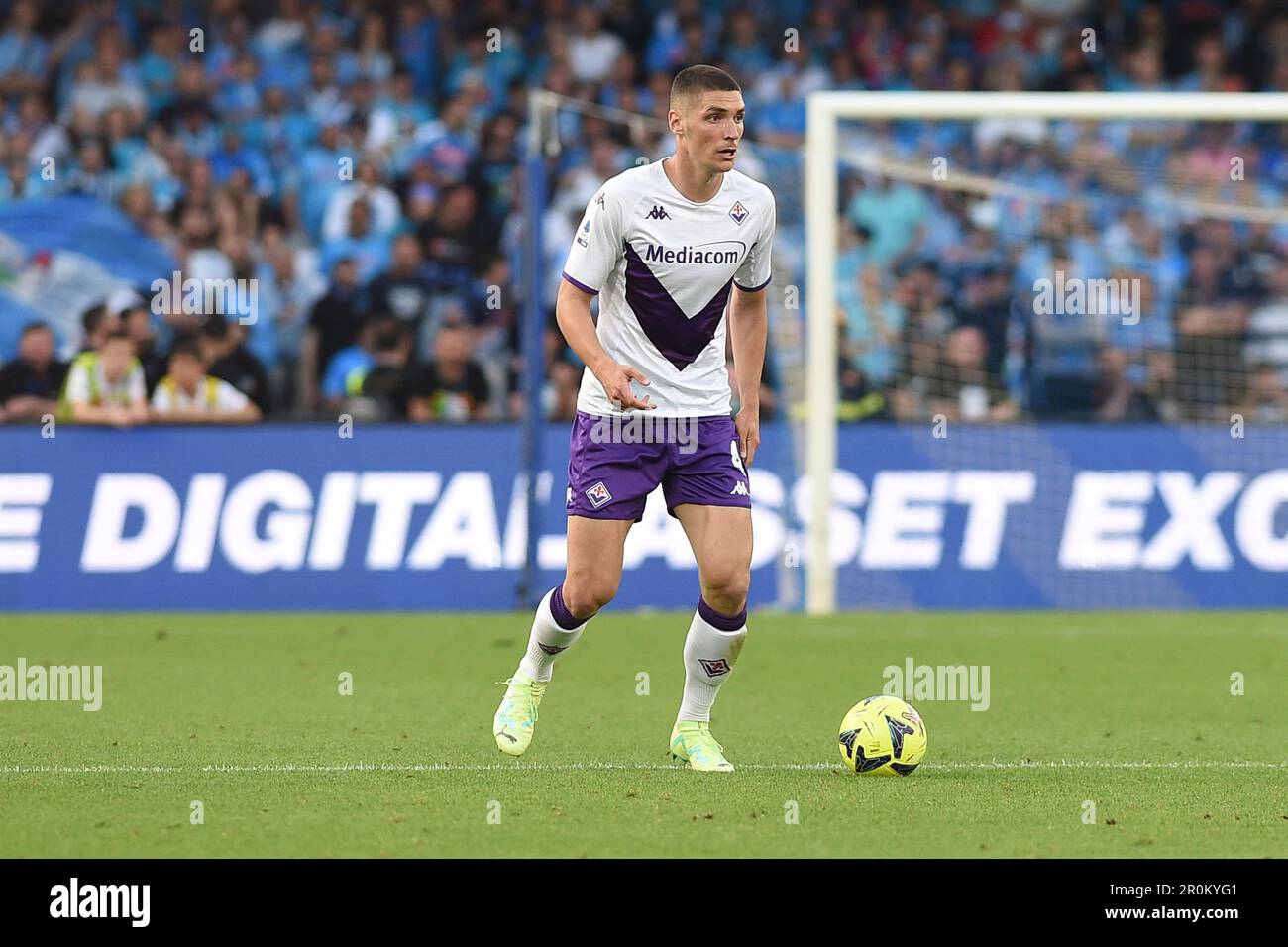 Nikola milenkovic fiorentina 2023 hi-res stock photography and images ...