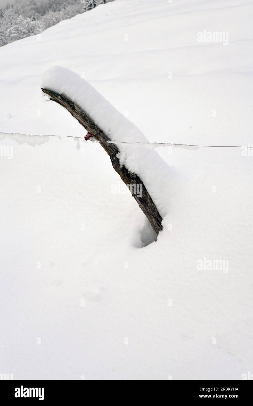 Fence post under the snow in Savoie Stock Photo - Alamy