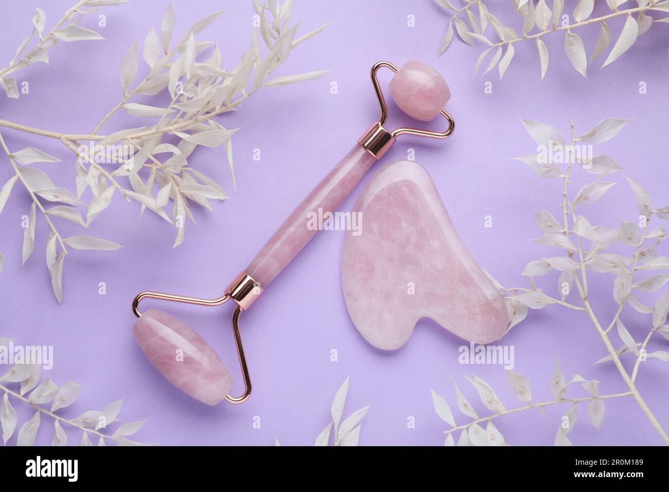 Gua sha stone, face roller and dry white leaves on violet background ...