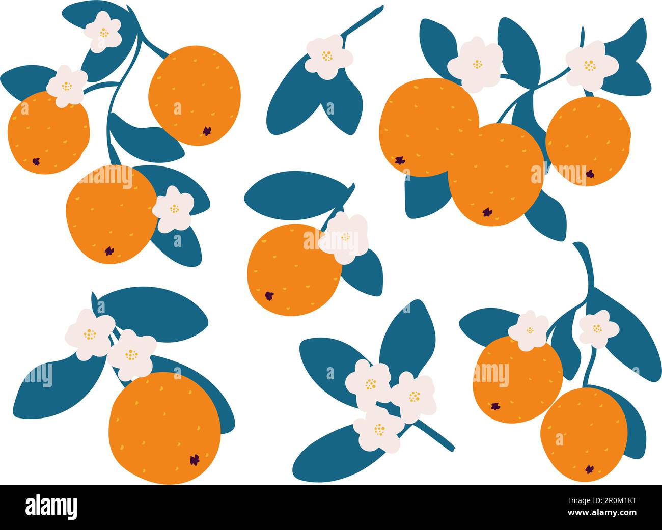 Cut oranges whole Stock Vector Images - Alamy