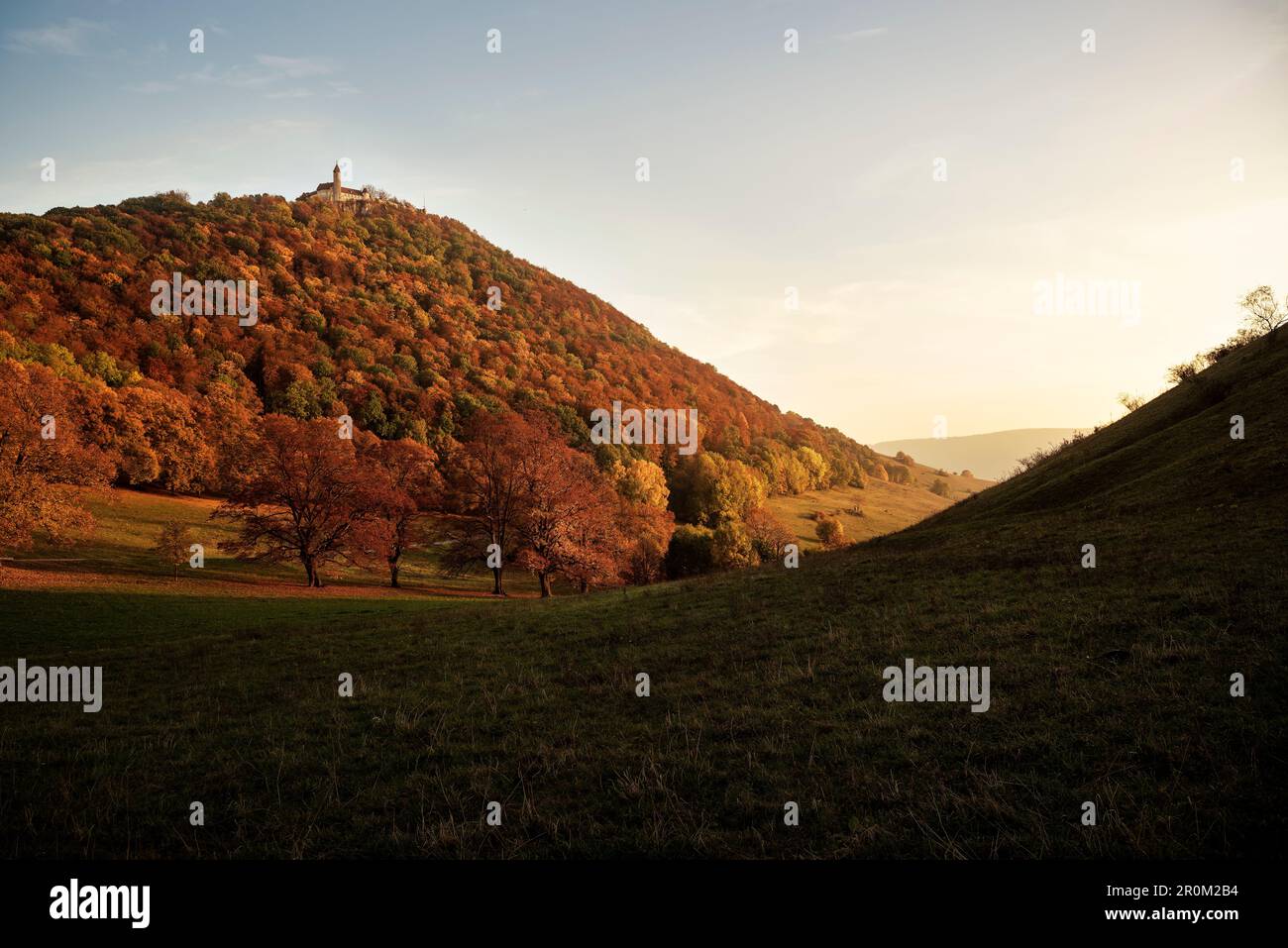 Teck castle hi-res stock photography and images - Alamy