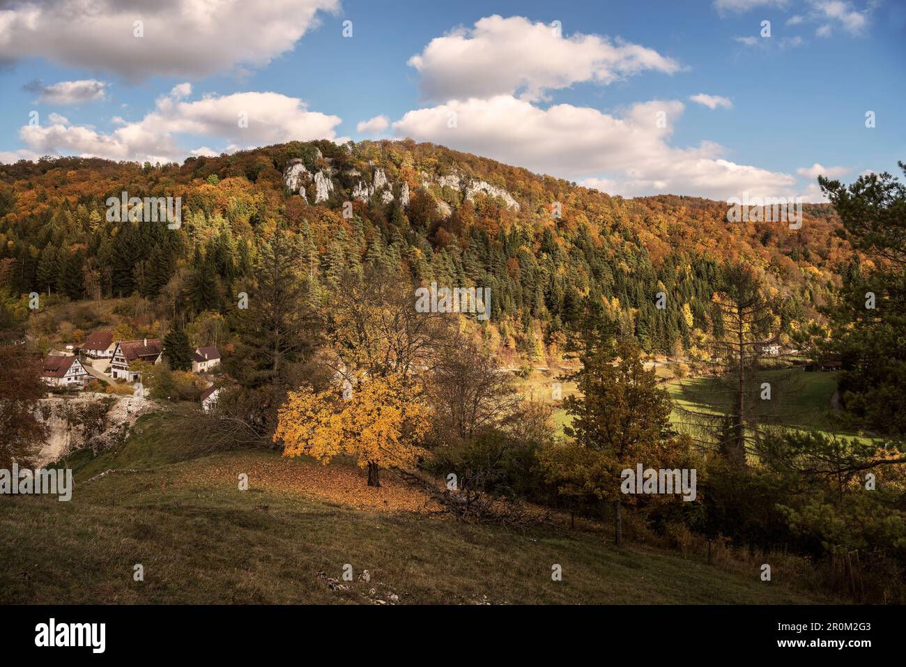 View towards castle ruin Hohengundelfingen, UNESCO Biosphere Reserve ...