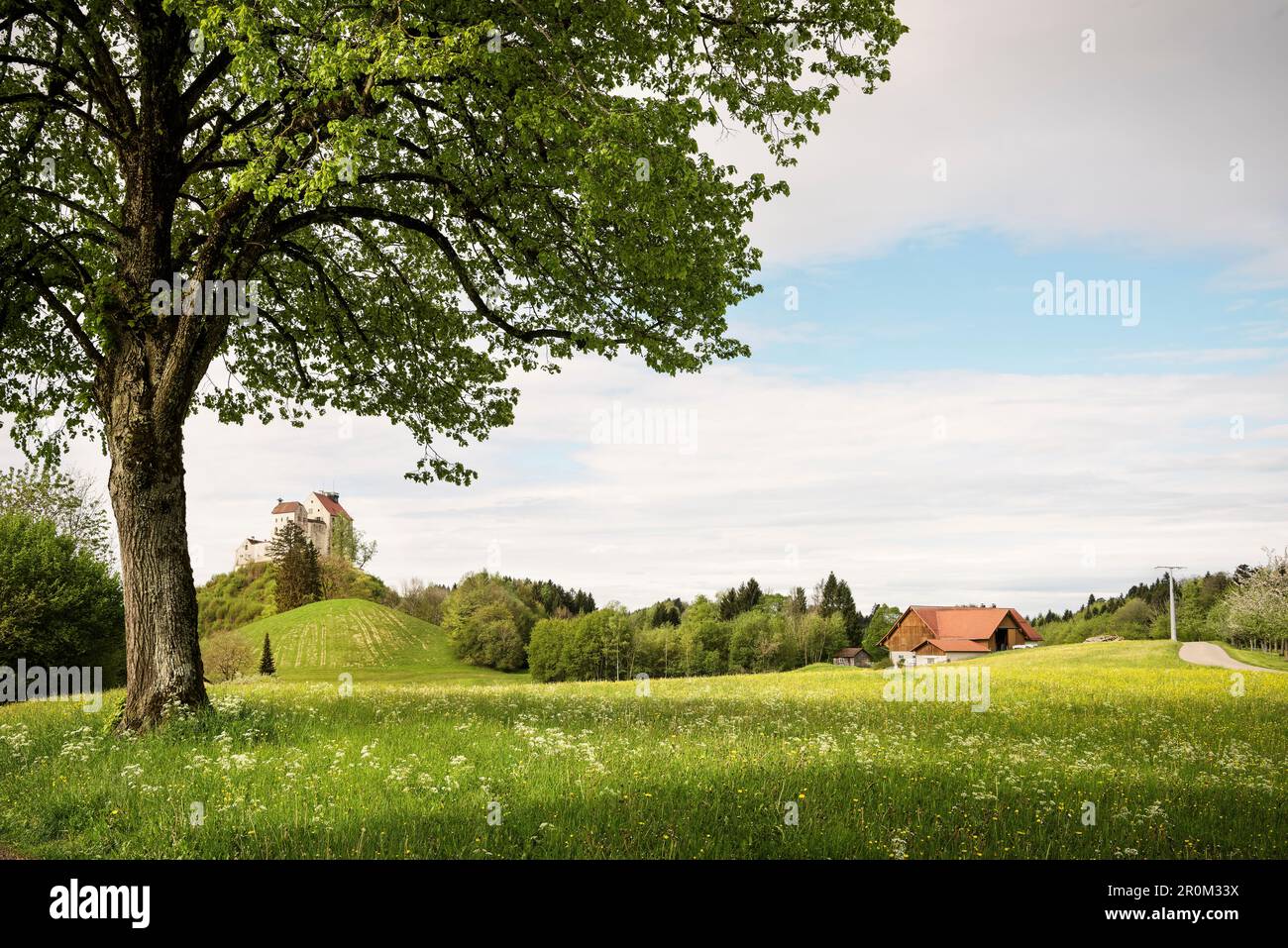 Spring meadow in front of Waldburg Castle, Baden-Wuerttemberg, Germany ...
