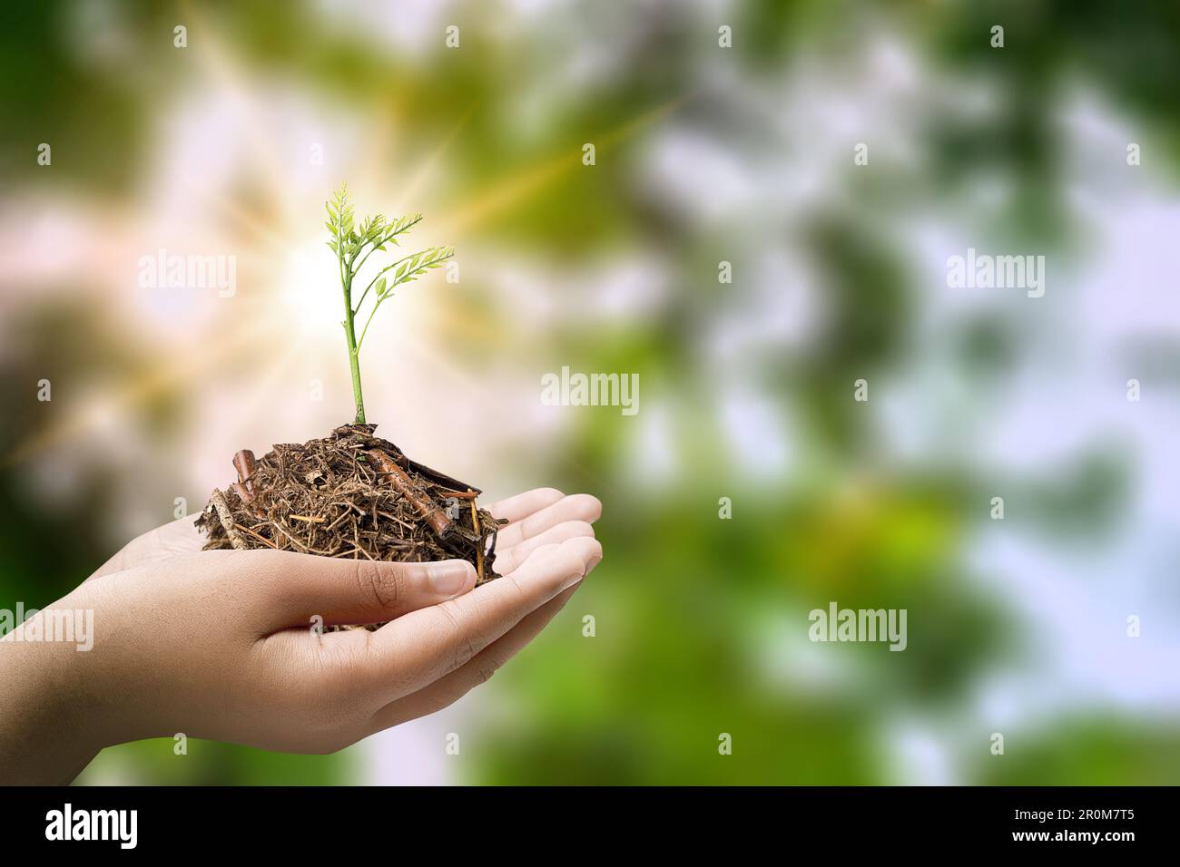 Human hand growing leaf on the ground. World environment day concept ...