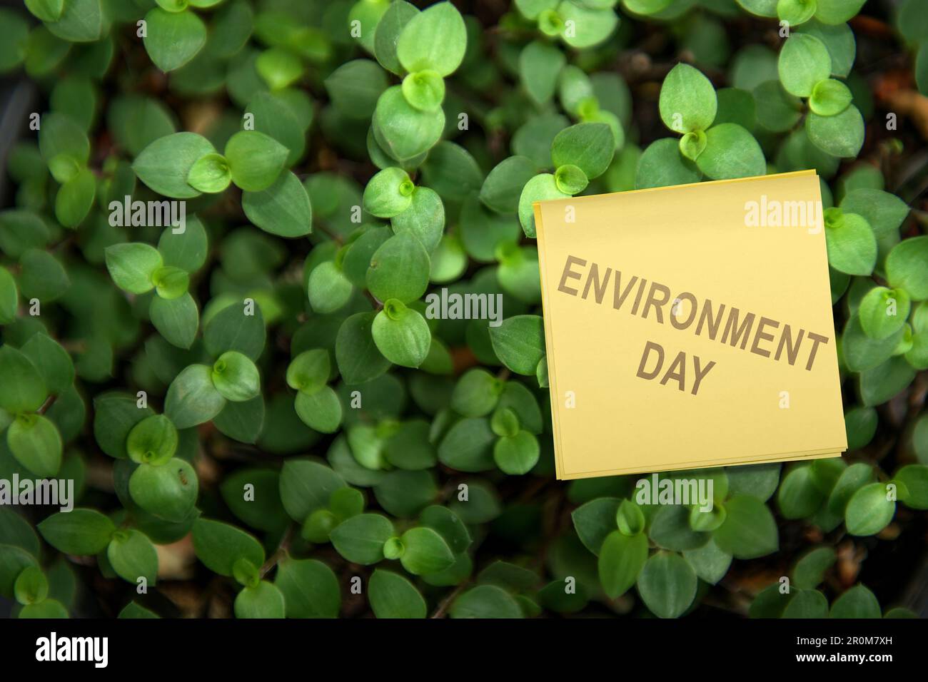 World environment day message. World environment day concept Stock ...