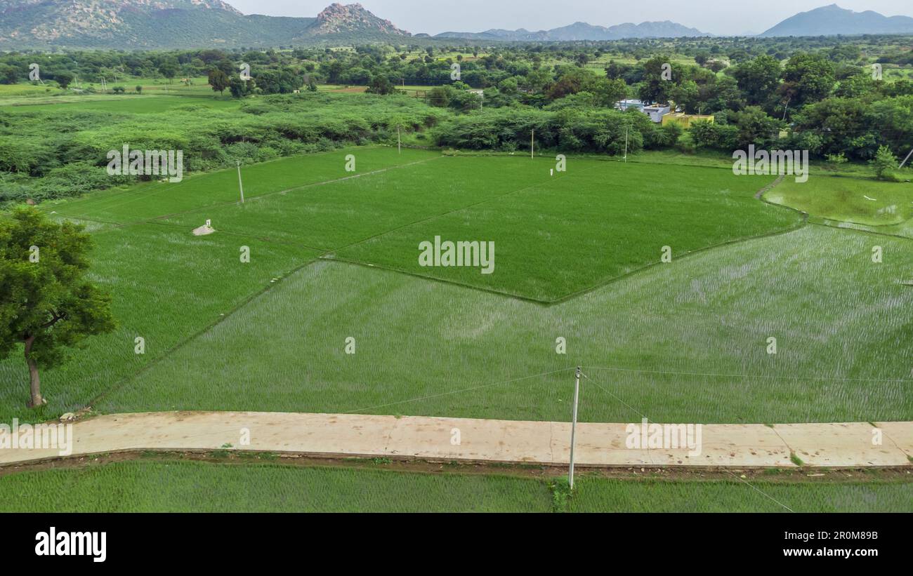 An aerial view of the picturesque Indian village of Podarallapalli ...