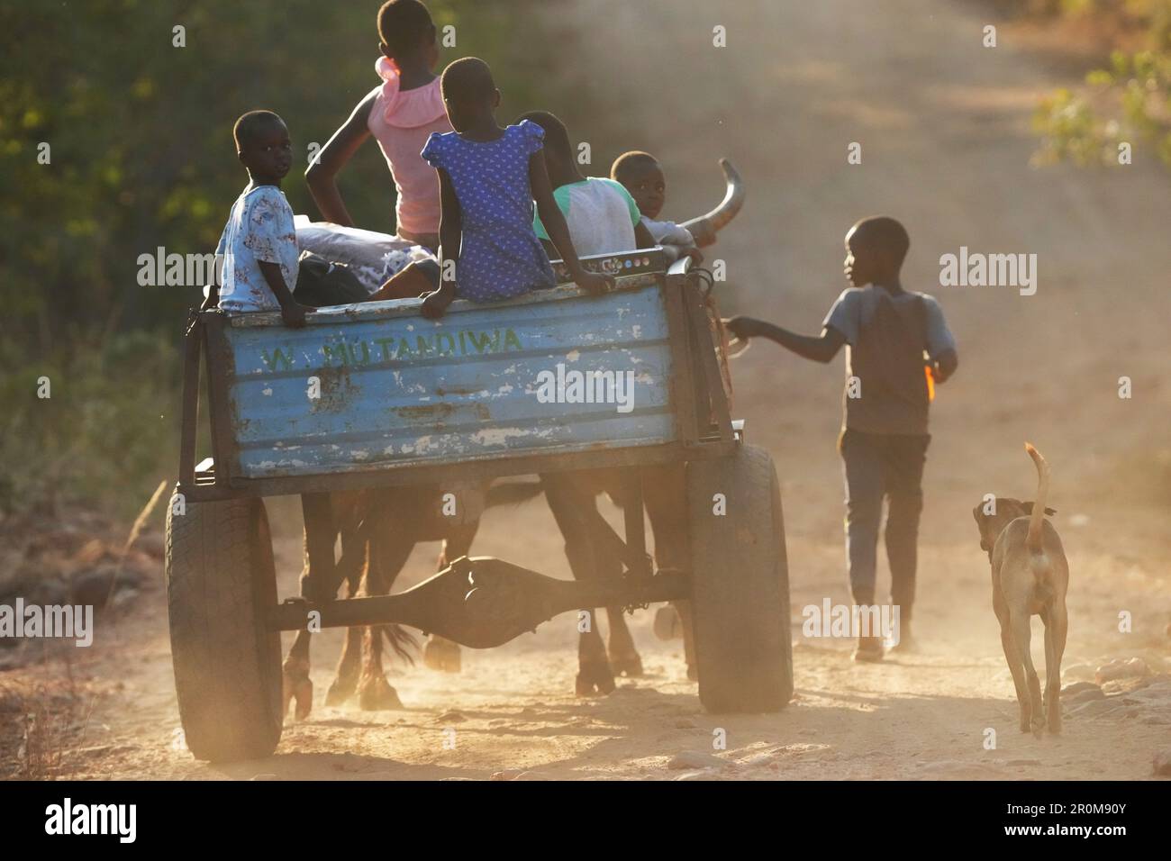 A scotch cart carrying children makes its way along a dusty road in ...