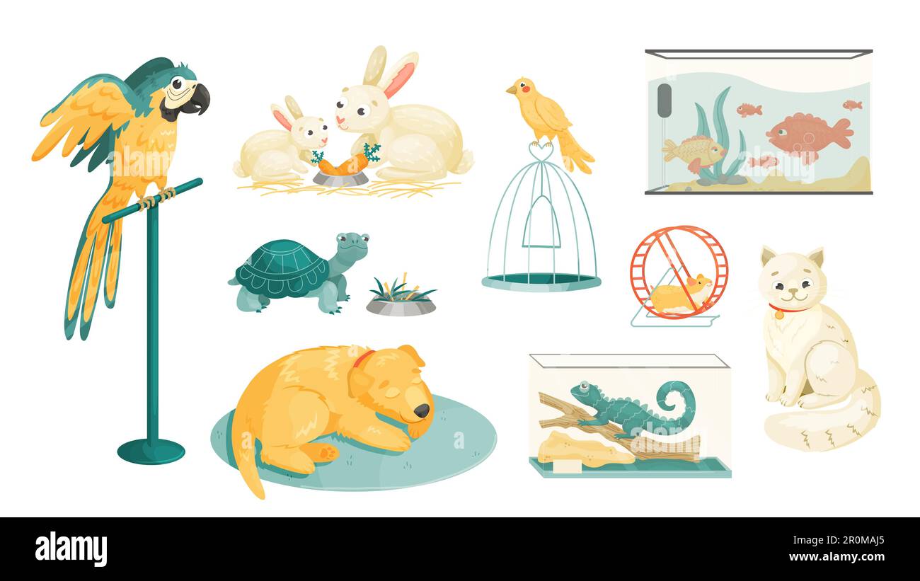 Pets and domestic animals set. Vector cartoon clip art Stock Vector ...