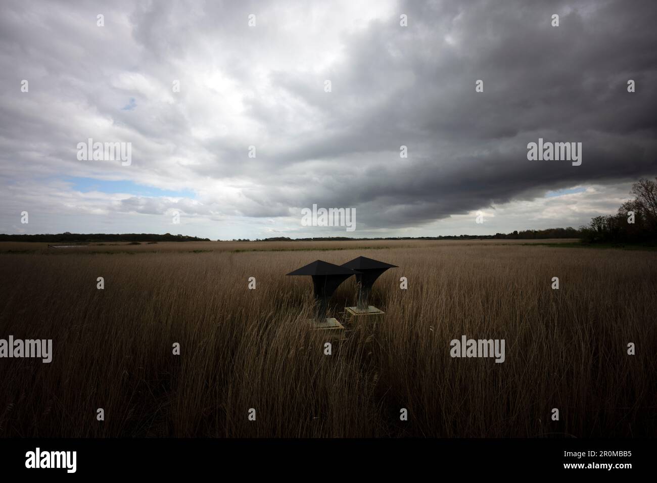 Migrant by Alison Wilding Snape Maltings Suffolk UK Stock Photo - Alamy