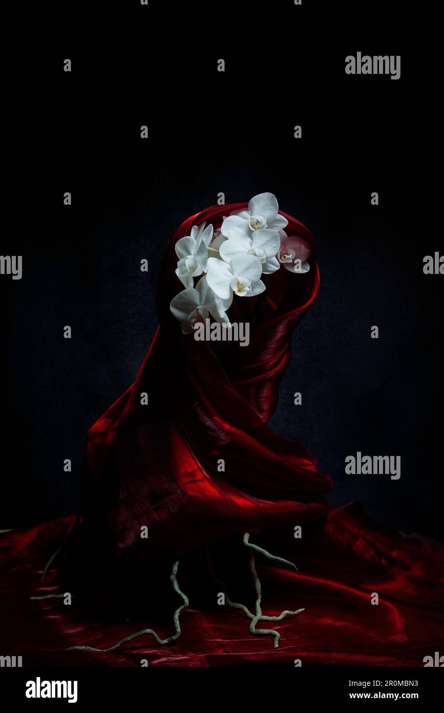 White Orchid wrapped in red silk Stock Photo - Alamy