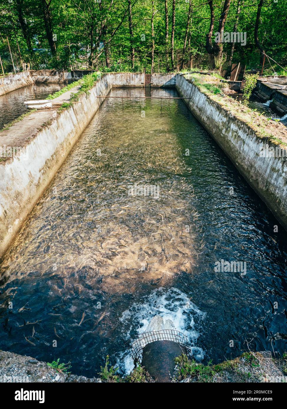 Salmon stream pool hi-res stock photography and images - Alamy