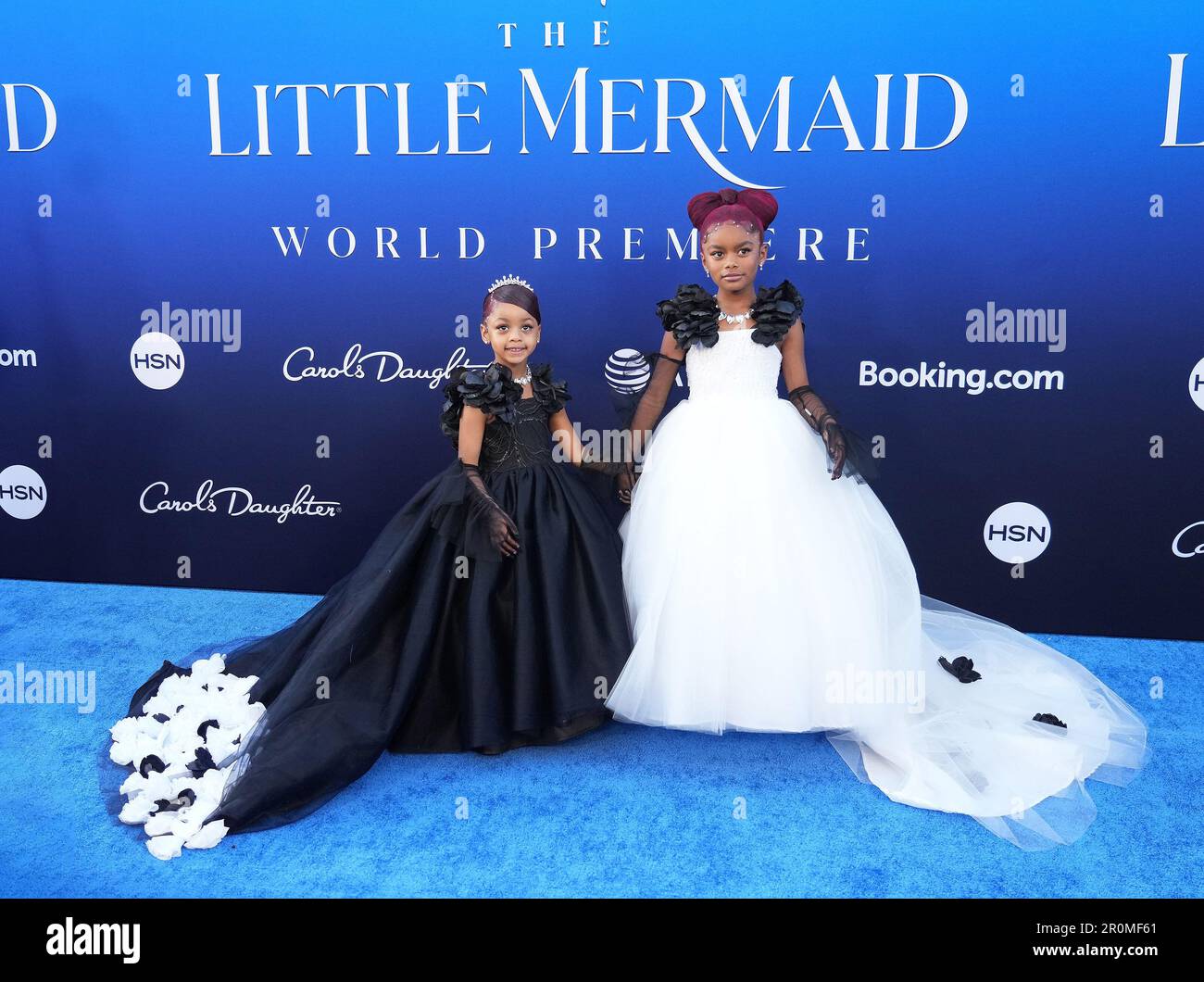 Kalea marie cephus hi-res stock photography and images - Alamy