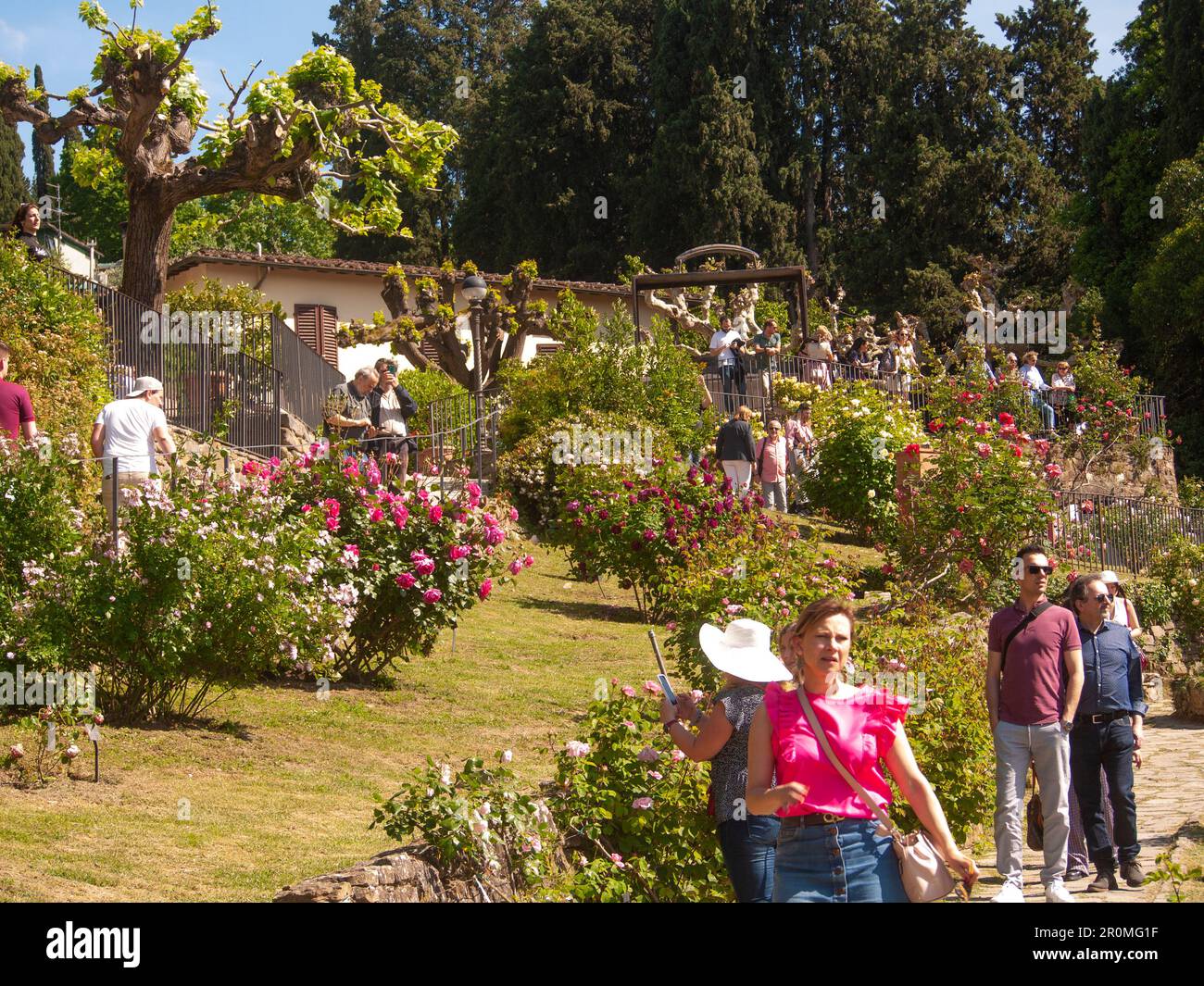 The rose garden florence hi-res stock photography and images - Alamy