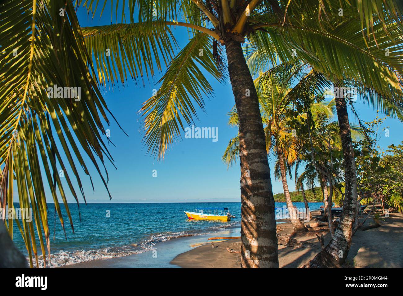 Costa Rica Manzanillo Beach Stock Photo - Alamy