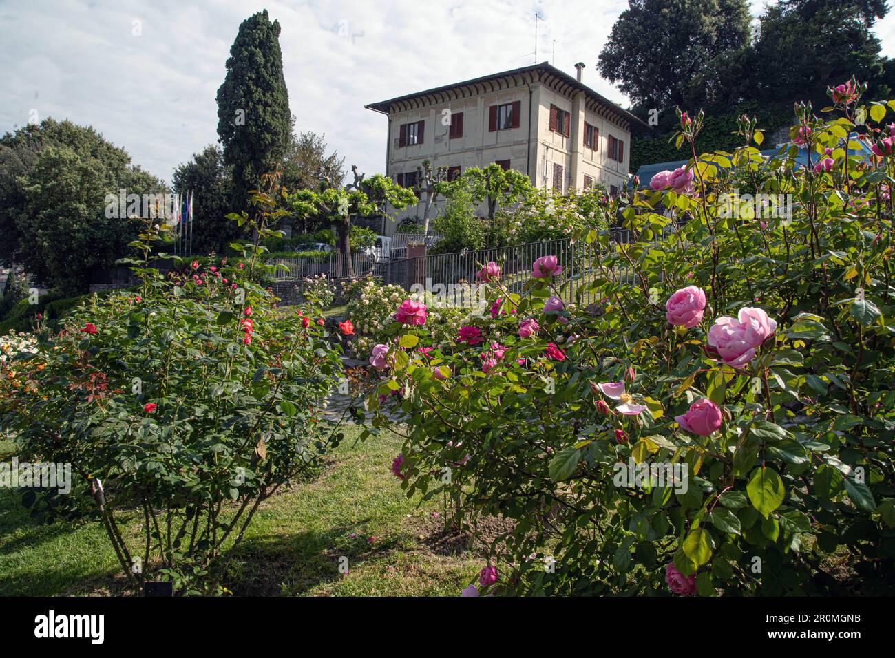 Giardino delle Rose Florence Stock Photo - Alamy