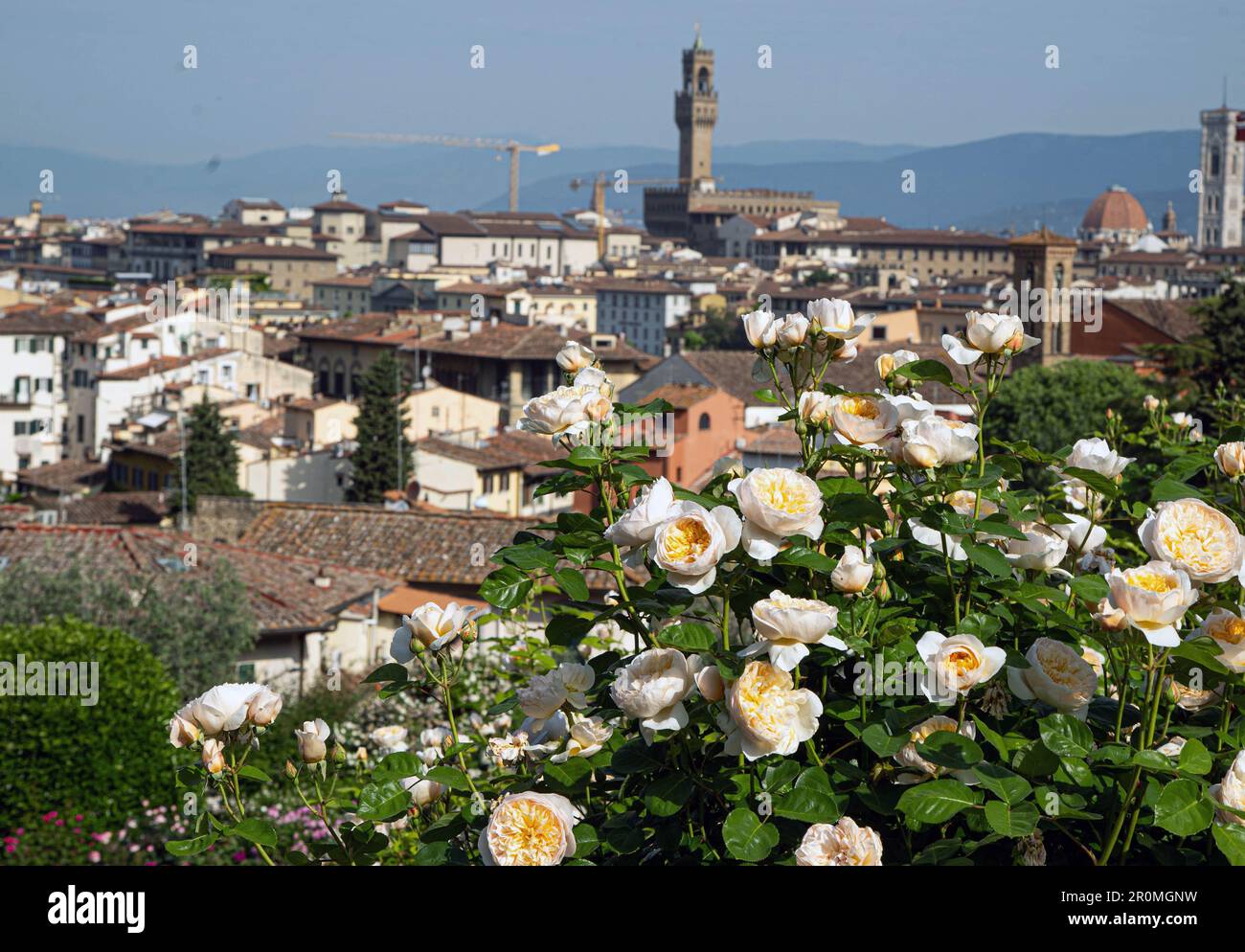 Giardino delle Rose Florence Stock Photo - Alamy