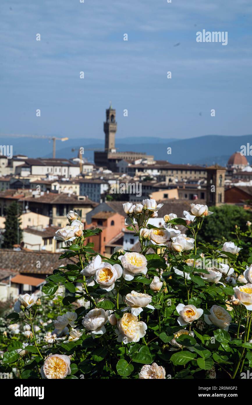 Giardino delle Rose Florence Stock Photo - Alamy