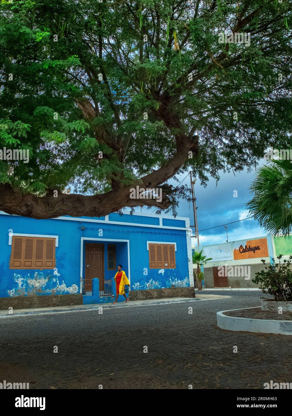 Multi verde hi-res stock photography and images - Alamy