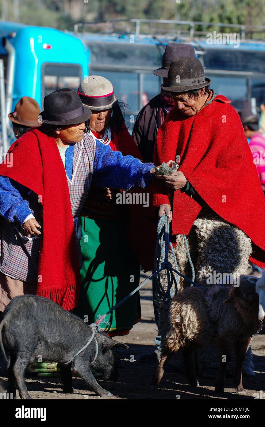 Guamote ecuador hi-res stock photography and images - Alamy