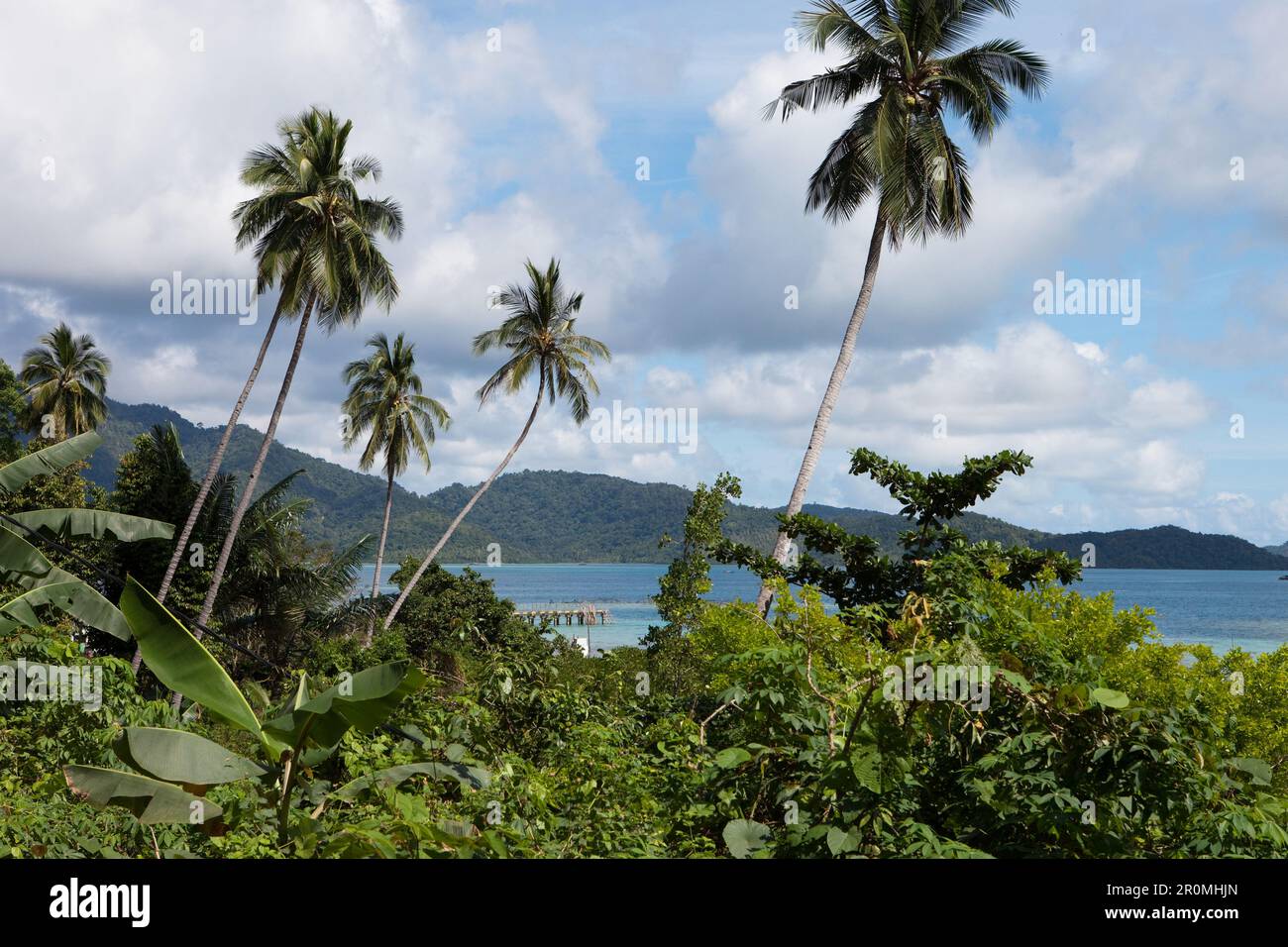 Tropical coast and rainforest, Tarempa, Siantan, Anambas, Indonesia ...