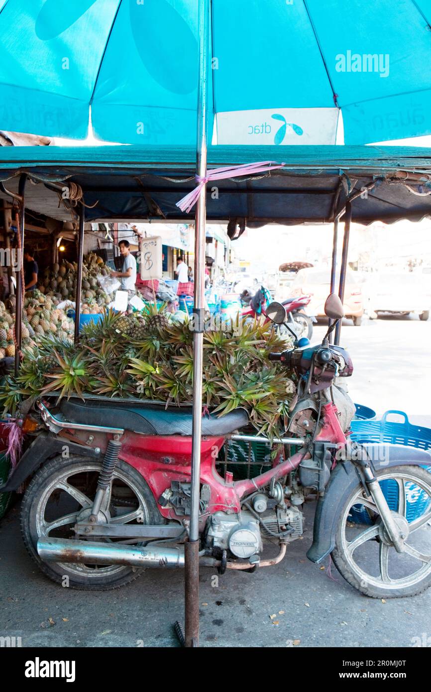 Pineapple on a motorcycle at a fruit shop, Chiang Mai, Thailand Stock ...