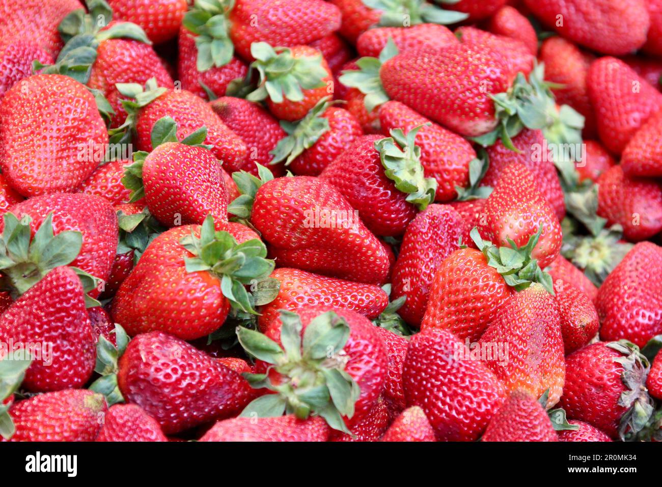 Close up view fresh strawberries hi-res stock photography and images ...