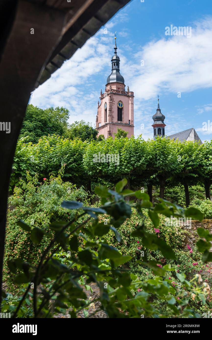 Parish Church of St. Peter and Paul seen from the Electoral Castle ...