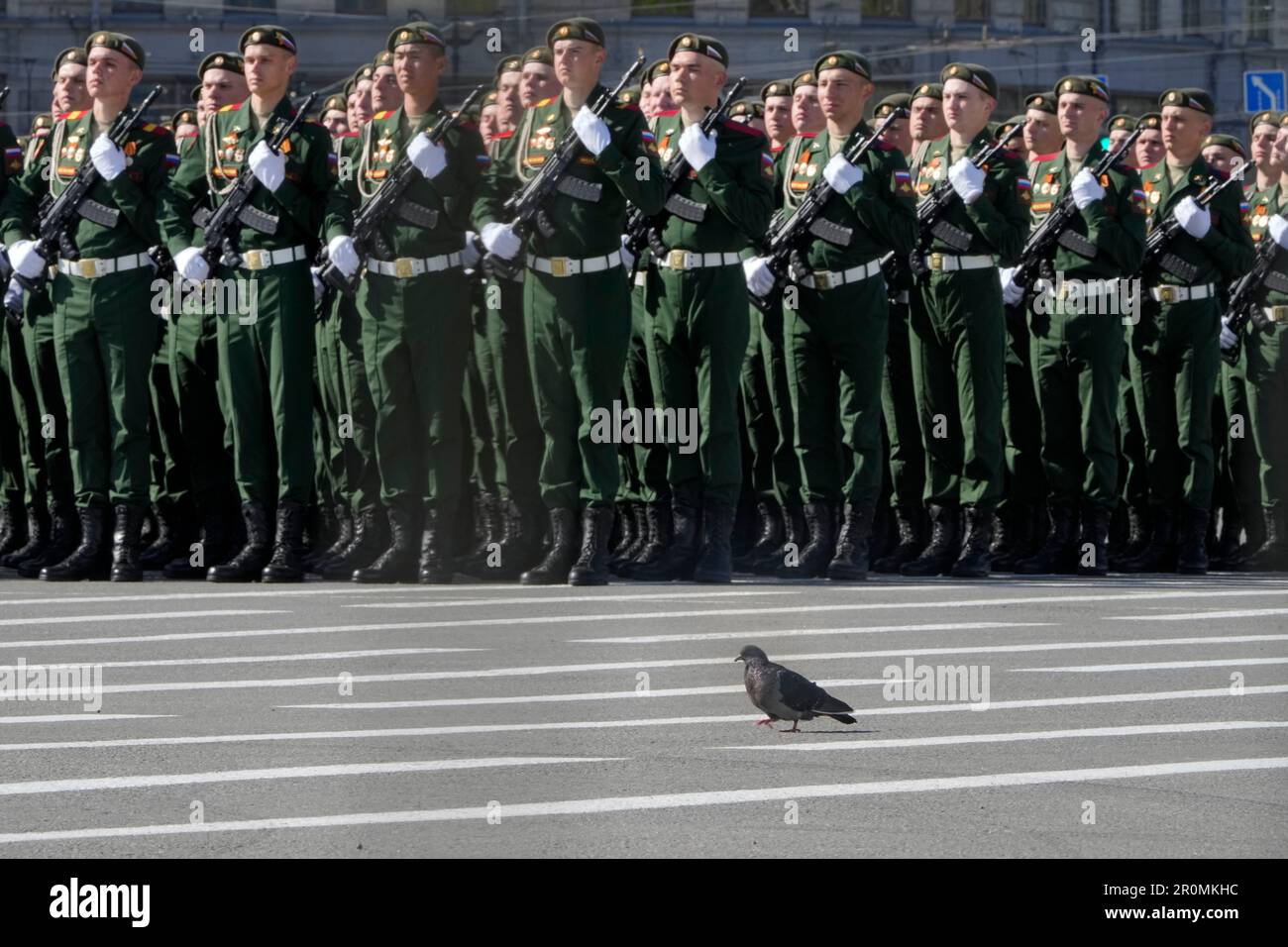 A pigeon walks in the square during the Victory Day military parade at ...
