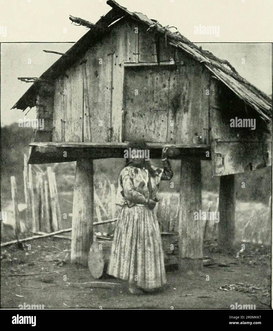 NATIVE FOOD STORE Stock Photo - Alamy