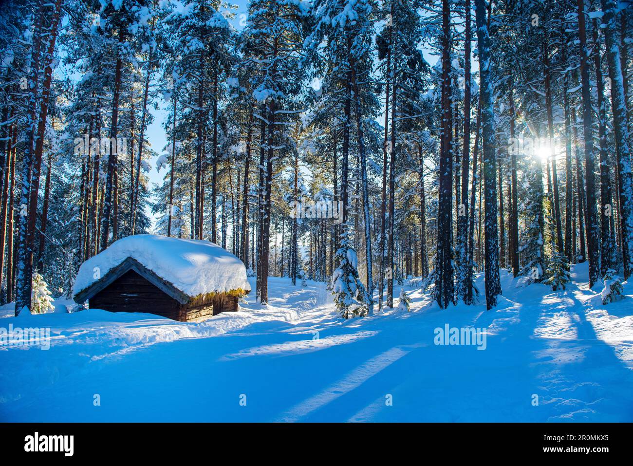 Norway, winter, Heggenes,surroundings Hotel Herangtunet, Boutique Hotel ...