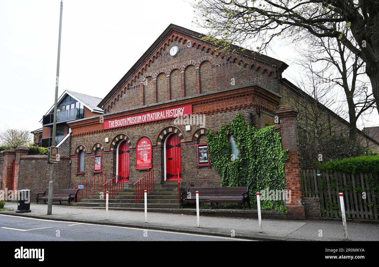 The Booth Museum in Brighton , Sussex UK Credit Simon Dack Stock Photo ...