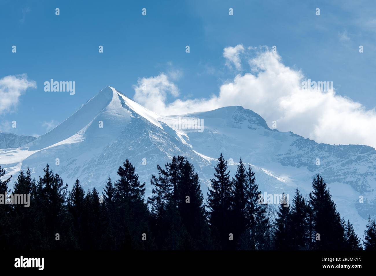 white peak of Silberhorn in the bernese alps Stock Photo - Alamy