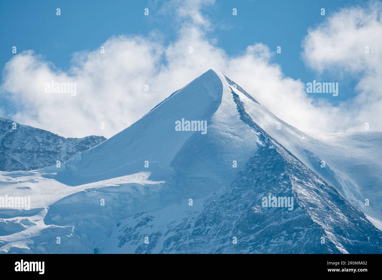 white peak of Silberhorn in the bernese alps Stock Photo - Alamy