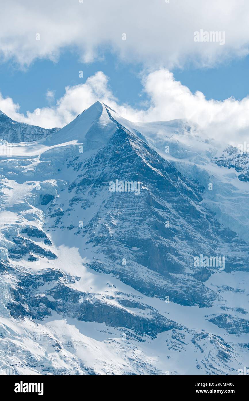 white peak of Silberhorn in the bernese alps Stock Photo - Alamy