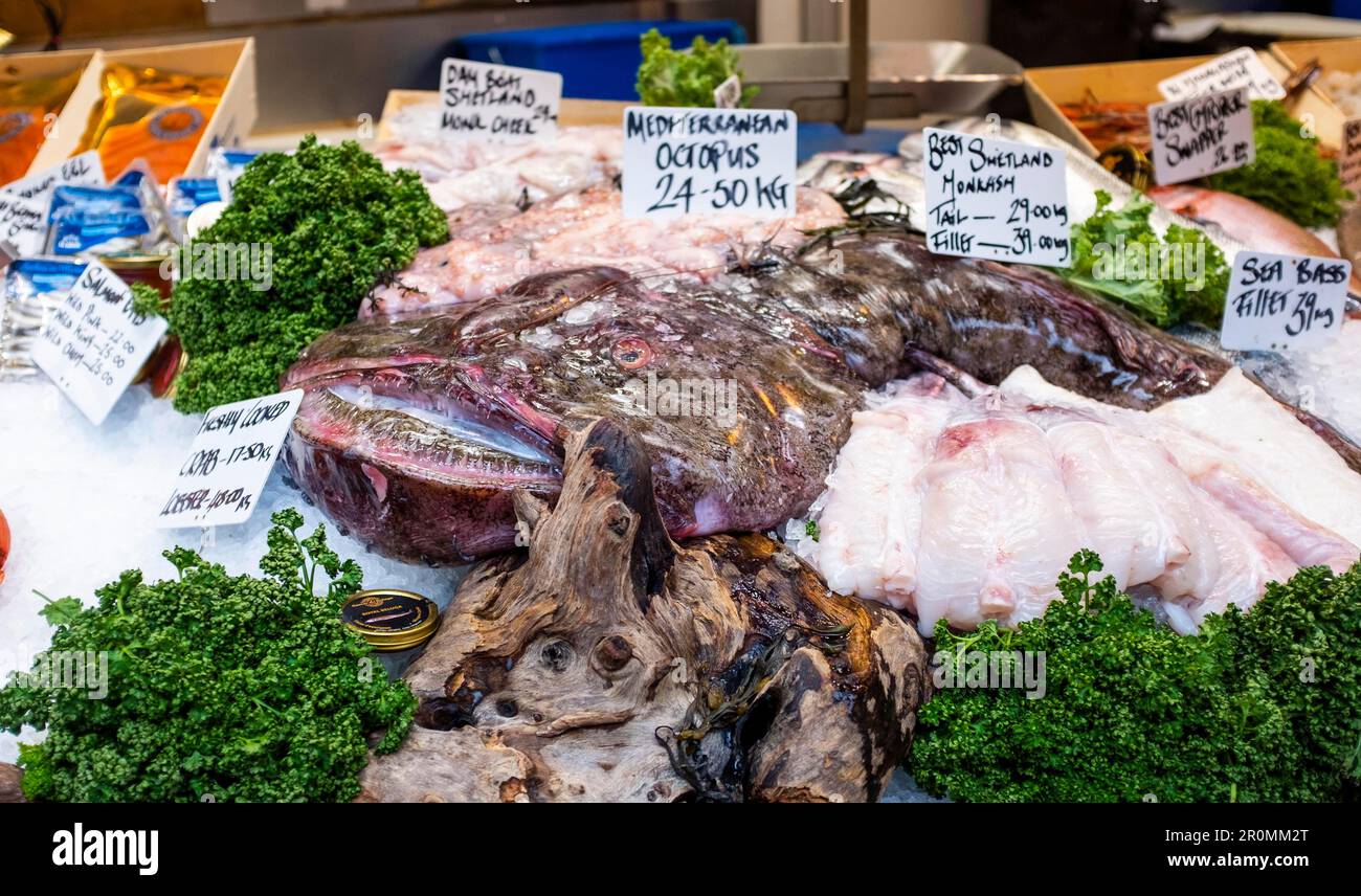 Shetland monkfish hi-res stock photography and images - Alamy