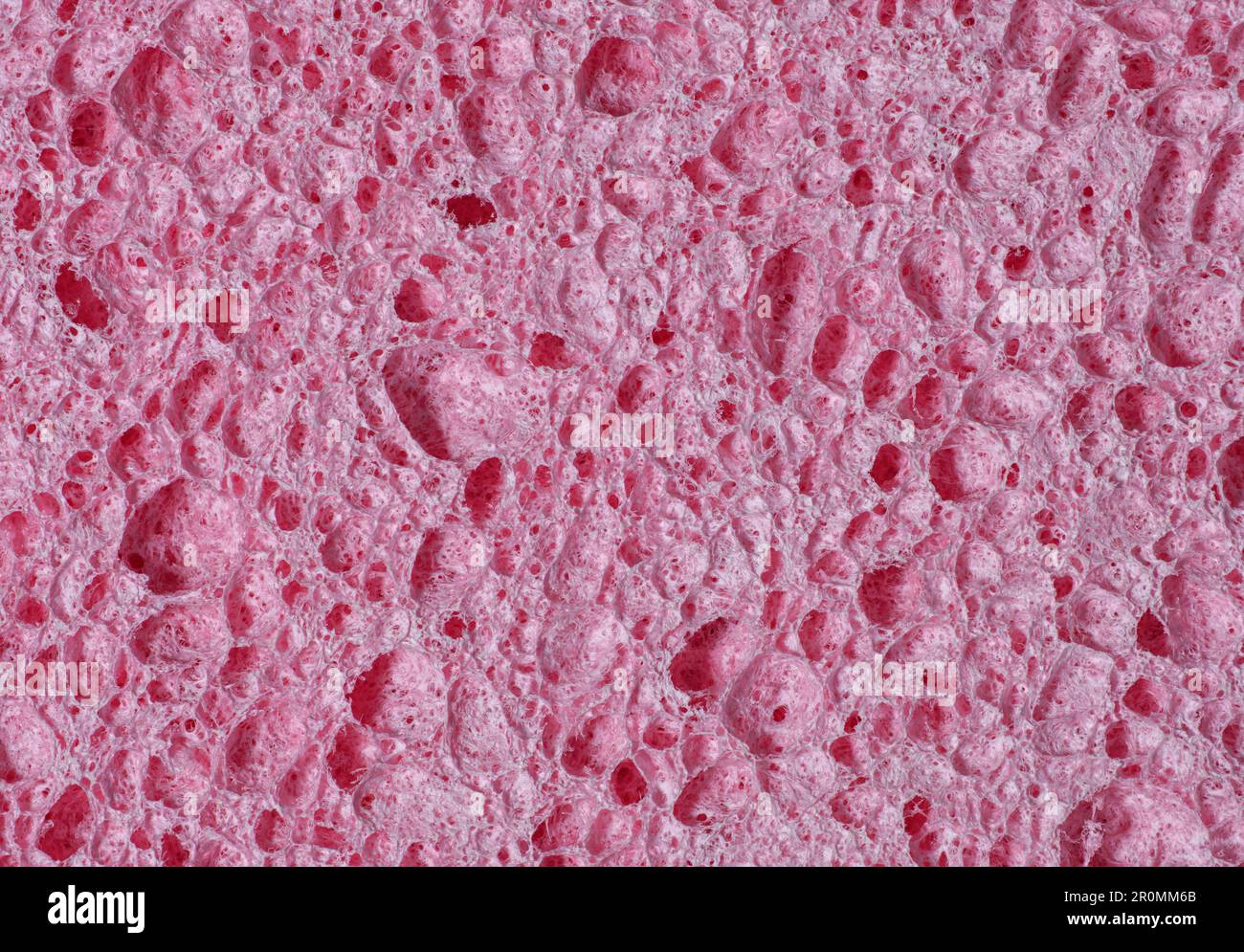 Texture of a porous pink sponge in close-up as an abstract background ...
