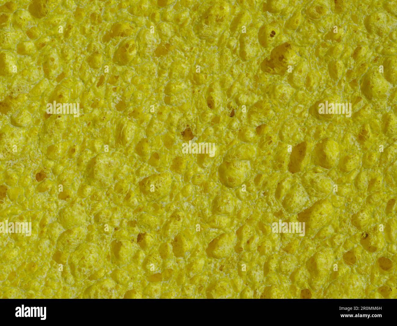 Texture of a porous yellow sponge in close-up as an abstract background ...