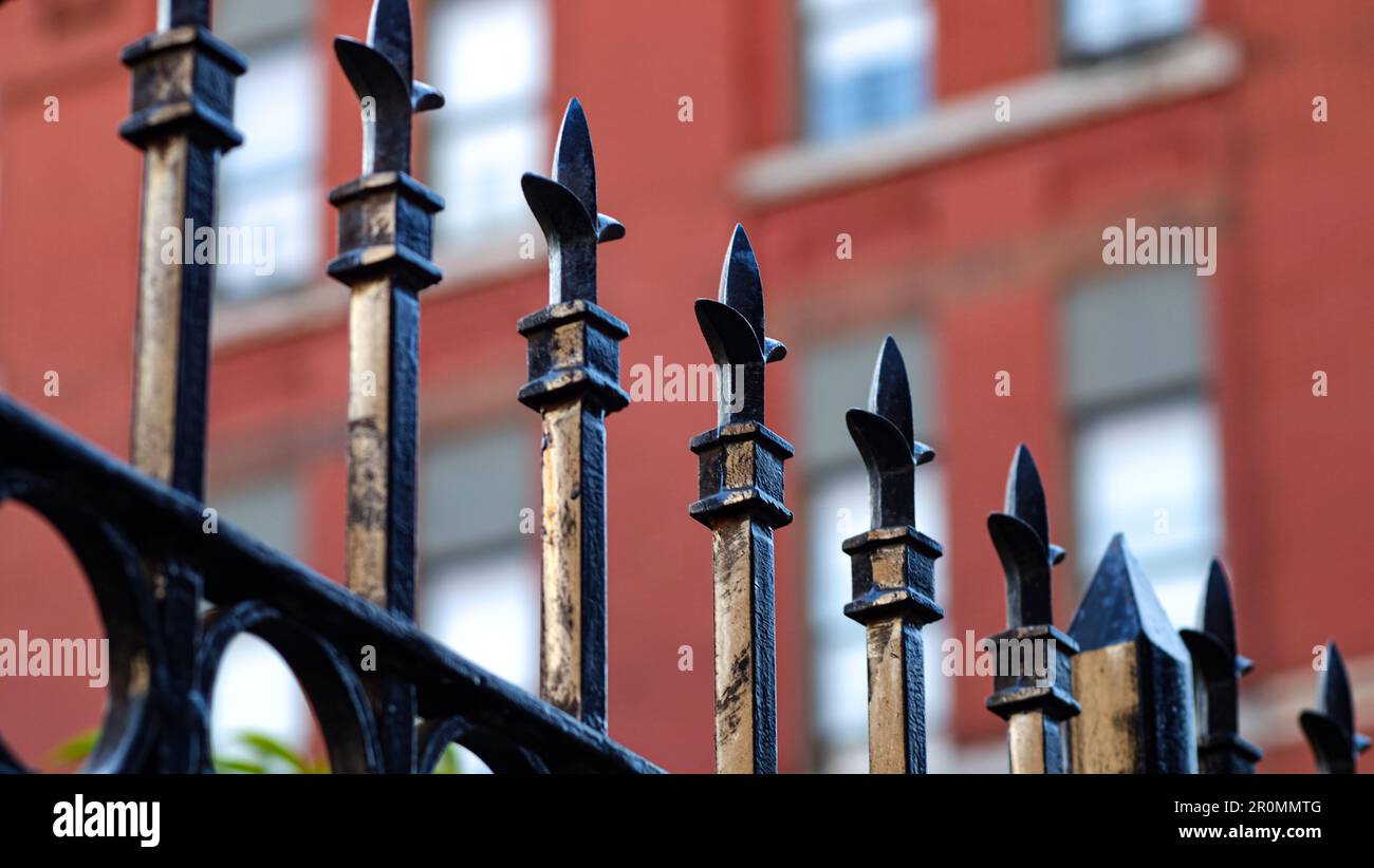 Brooklyn Neighborhood Street Photography of Nature in Urban Jungle of ...