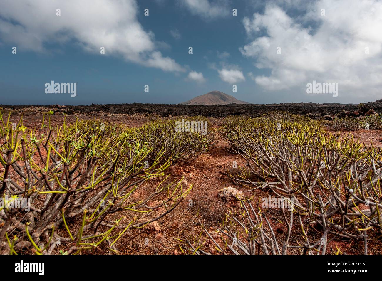 Caldera Blanca Walk to the largest volcanic crater on Lanzarote on the ...