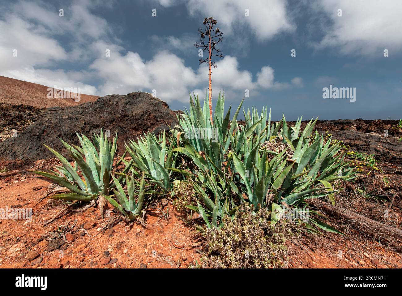Caldera Blanca Walk to the largest volcanic crater on Lanzarote on the ...
