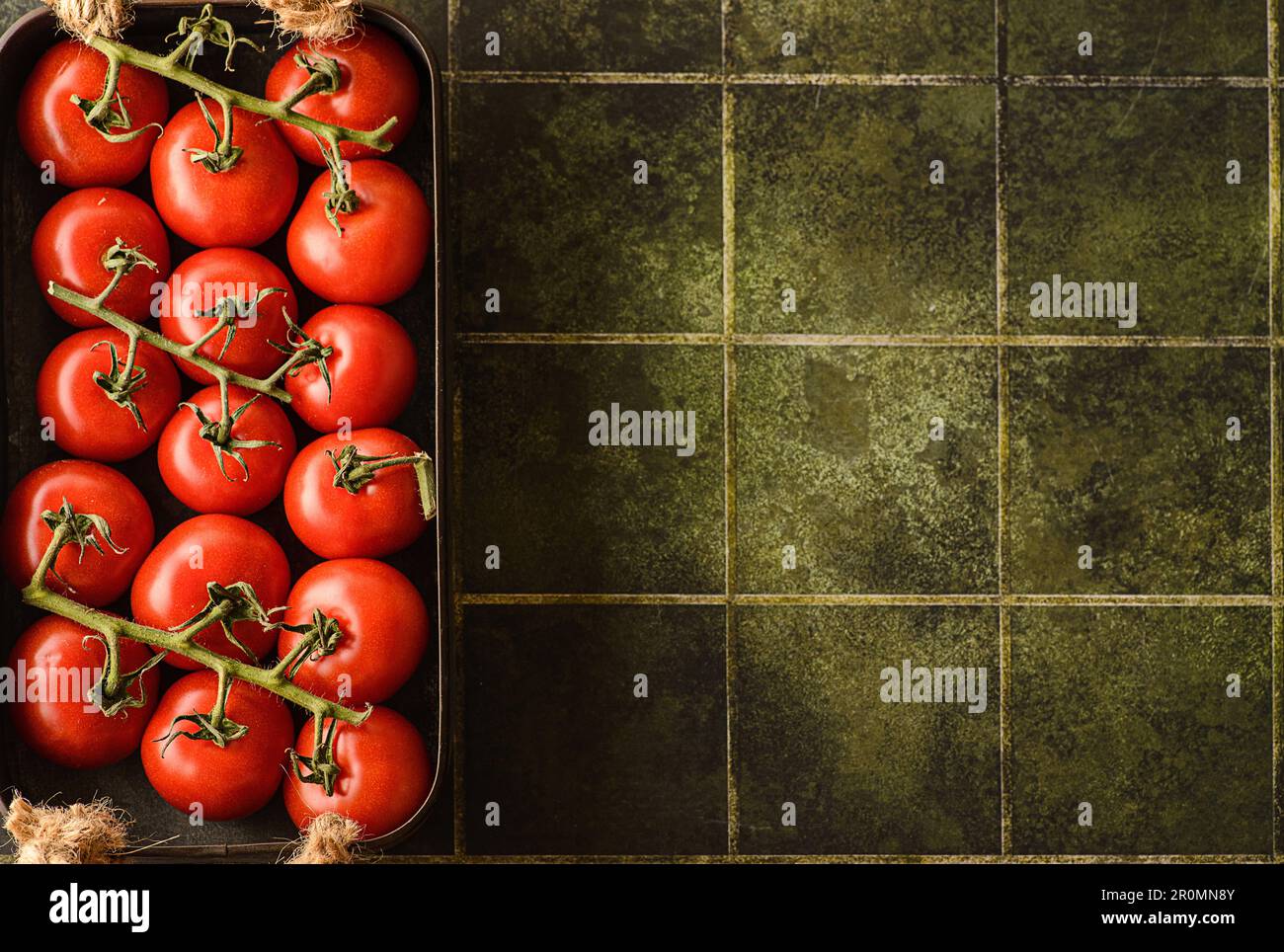 tomatoes cherry on branch on a trend background of green tiles. High ...