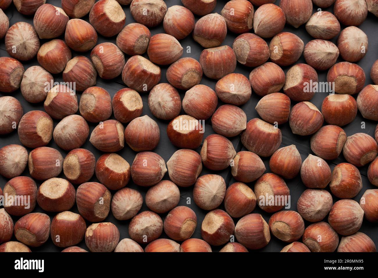 Whole hazelnuts nuts with shell close-up studio shot Stock Photo - Alamy