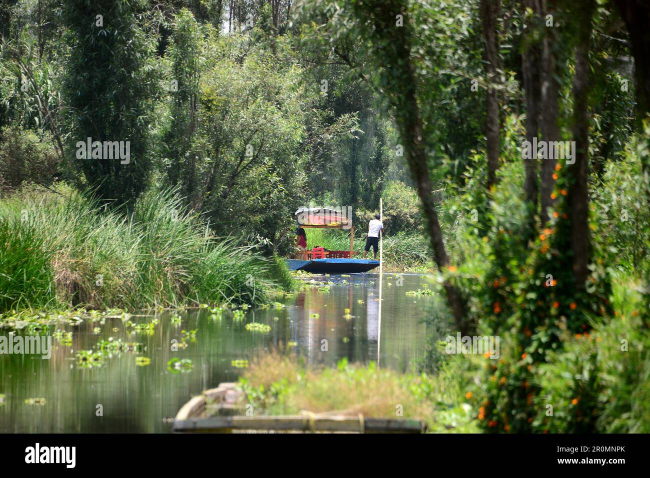 Colorful boats in a side canal at the canals of Xochimilco, Mexico City ...