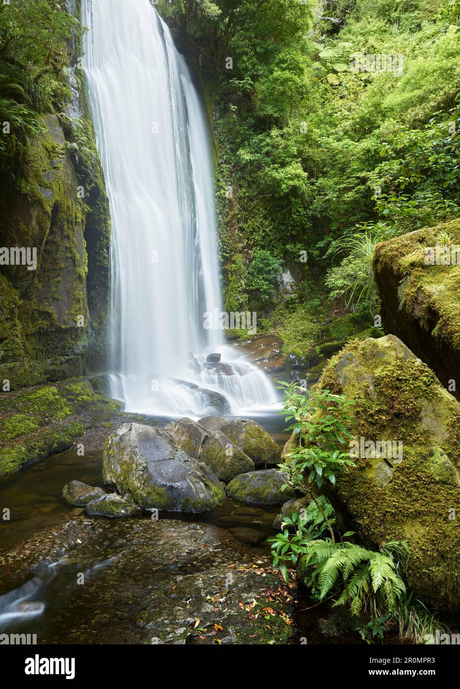 Korokoro Falls, Te Urewera National Park, Hawke's Bay, North Island ...