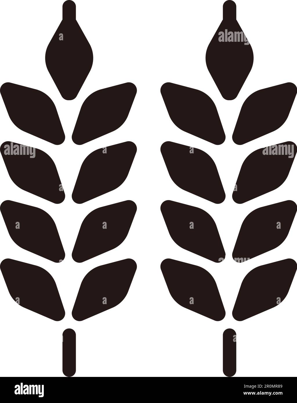 Healthy grains vector vectors hi-res stock photography and images - Alamy