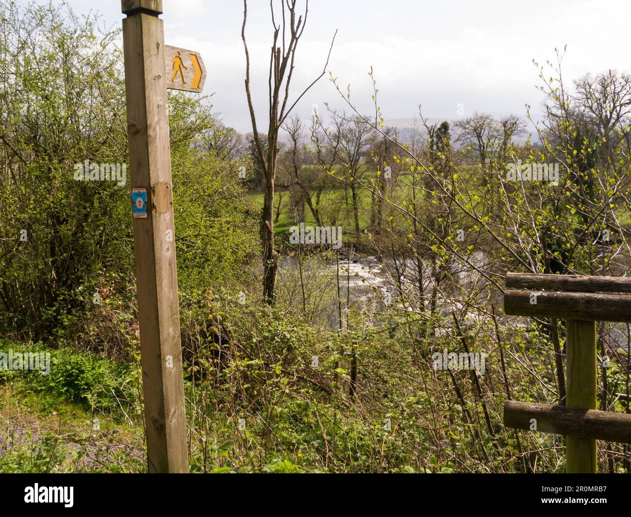 Wooden sign post indicating public footpath down to River Usk from ...