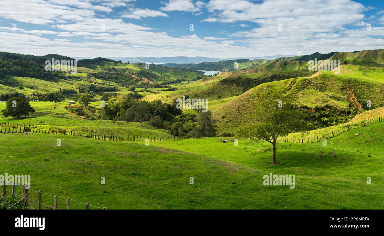 Kinohaku hi-res stock photography and images - Alamy