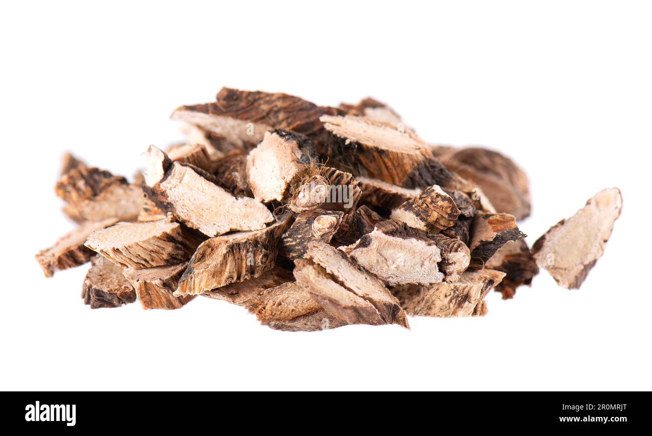 Calamus root isolated on white background. Sweet flag, sway or muskrat ...