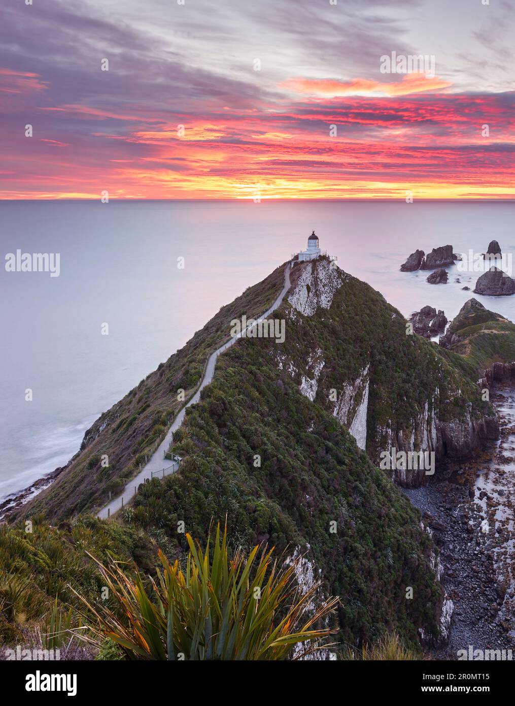 Nugget point lighthouse at sunrise hi-res stock photography and images ...