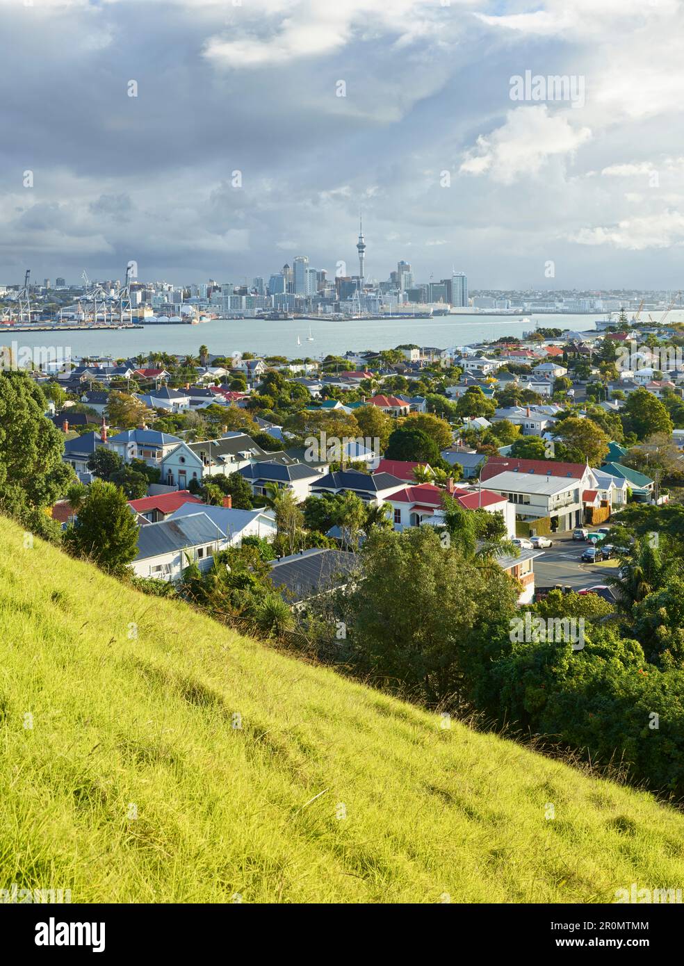Auckland from Mt. Victoria, Auckland, North Island, New Zealand ...